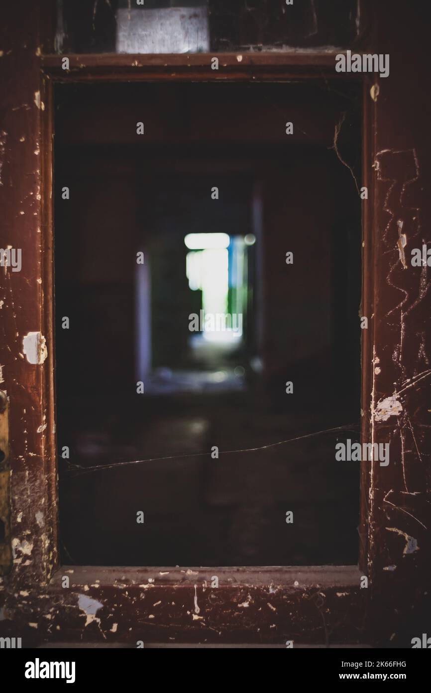A closeup of an old cracked wooden window with a spider web, a vertical ...