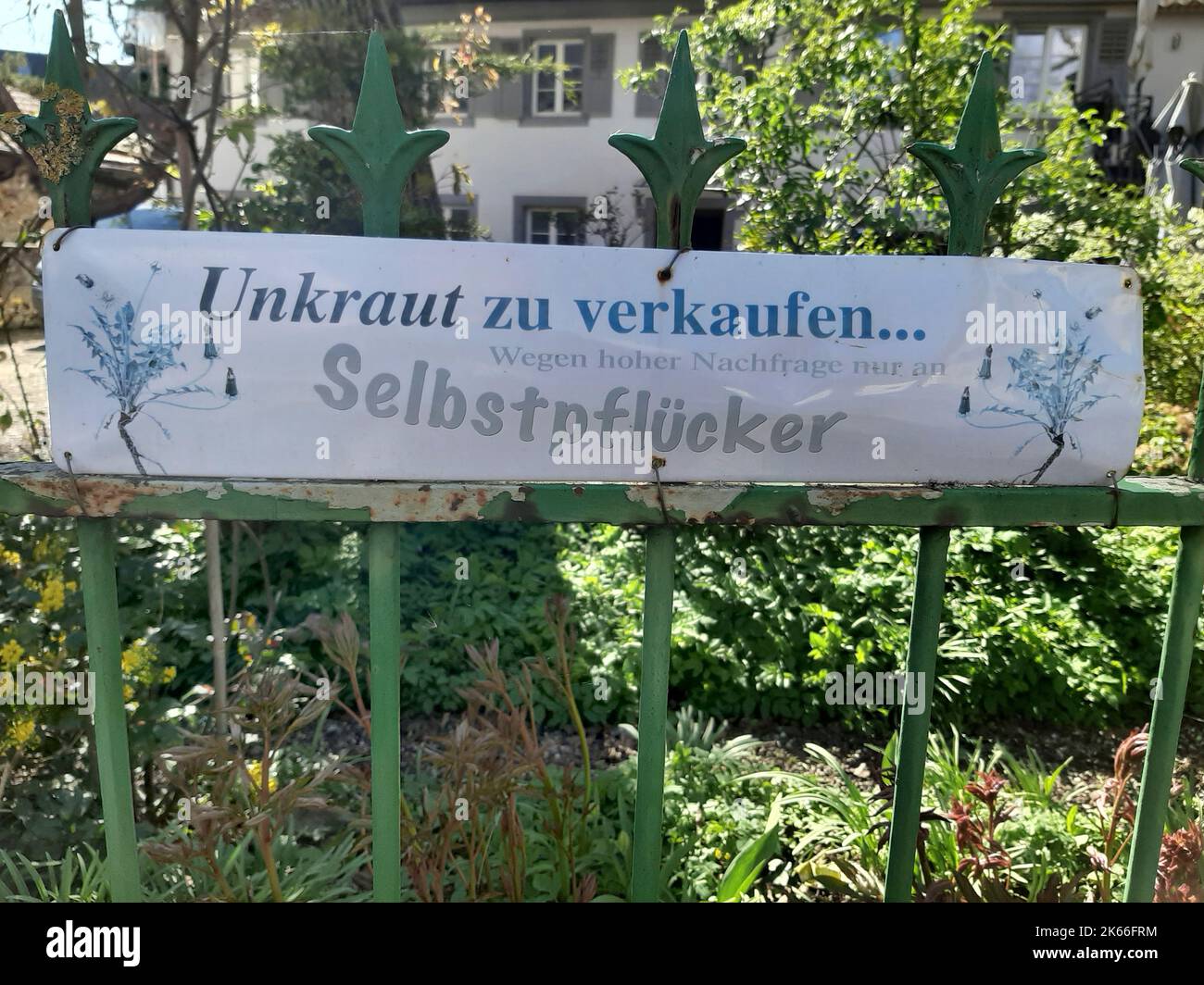 fun sign on iron front garden fence for free weed picking , Germany ...
