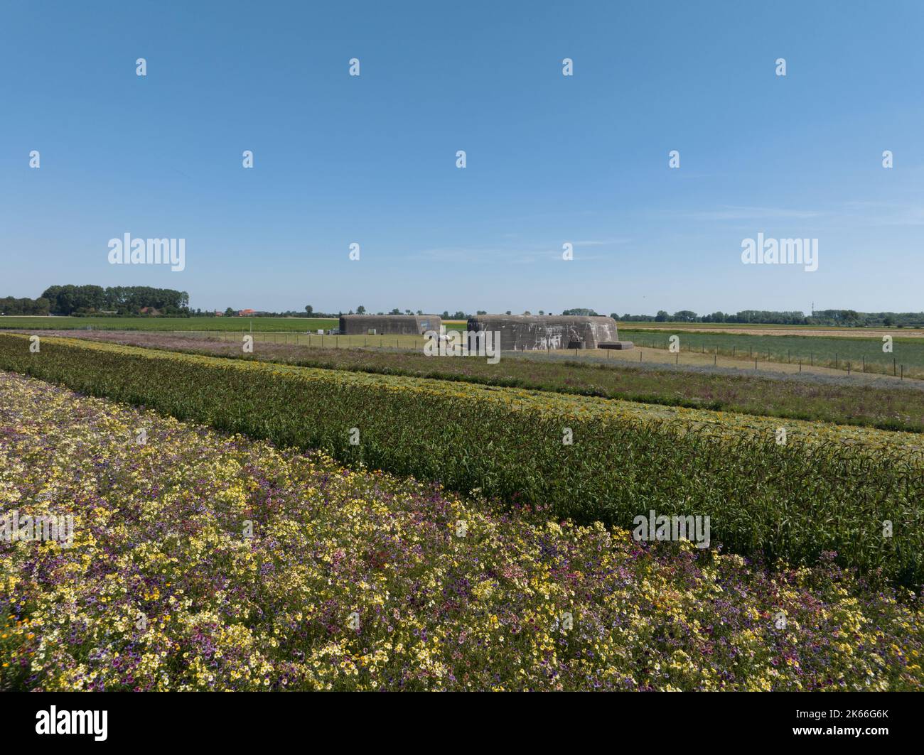 World war 2 WW2 bunker fortification military defense structure in a ...