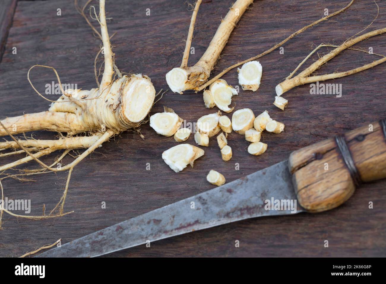 Wild Angelica Root Preparation