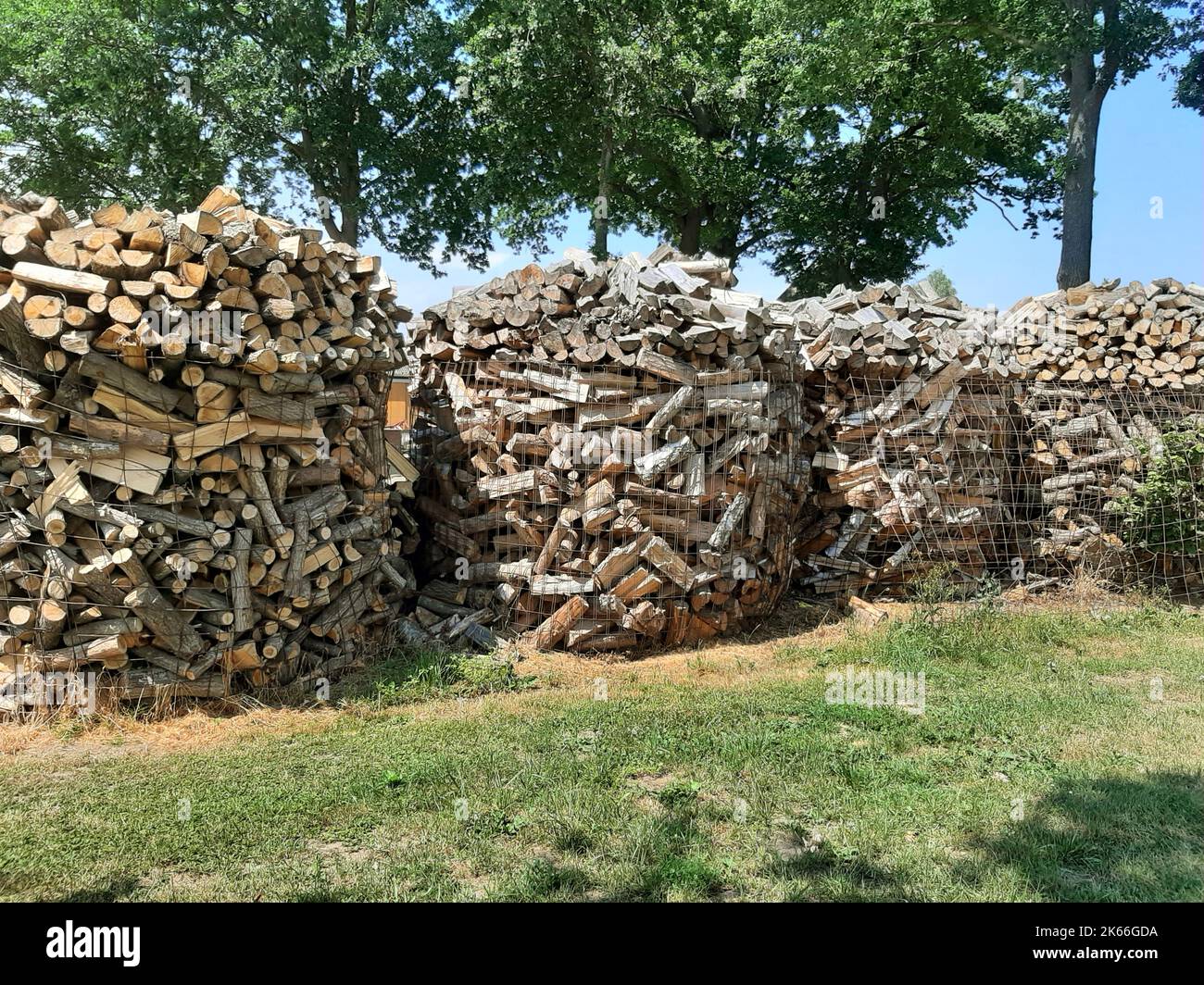 firewood stored in wire basket, Germany Stock Photo - Alamy