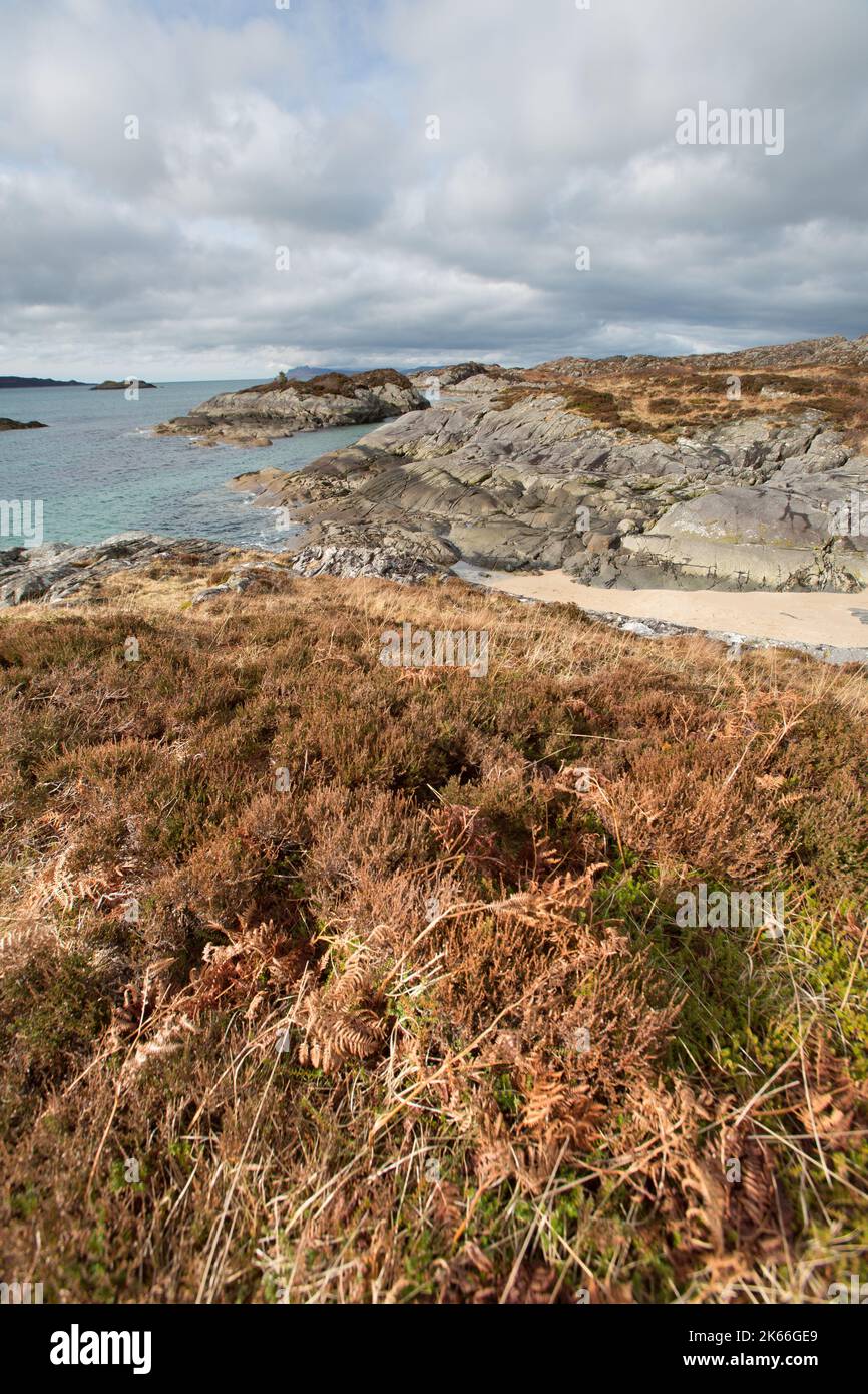 Nam murchan hi-res stock photography and images - Alamy