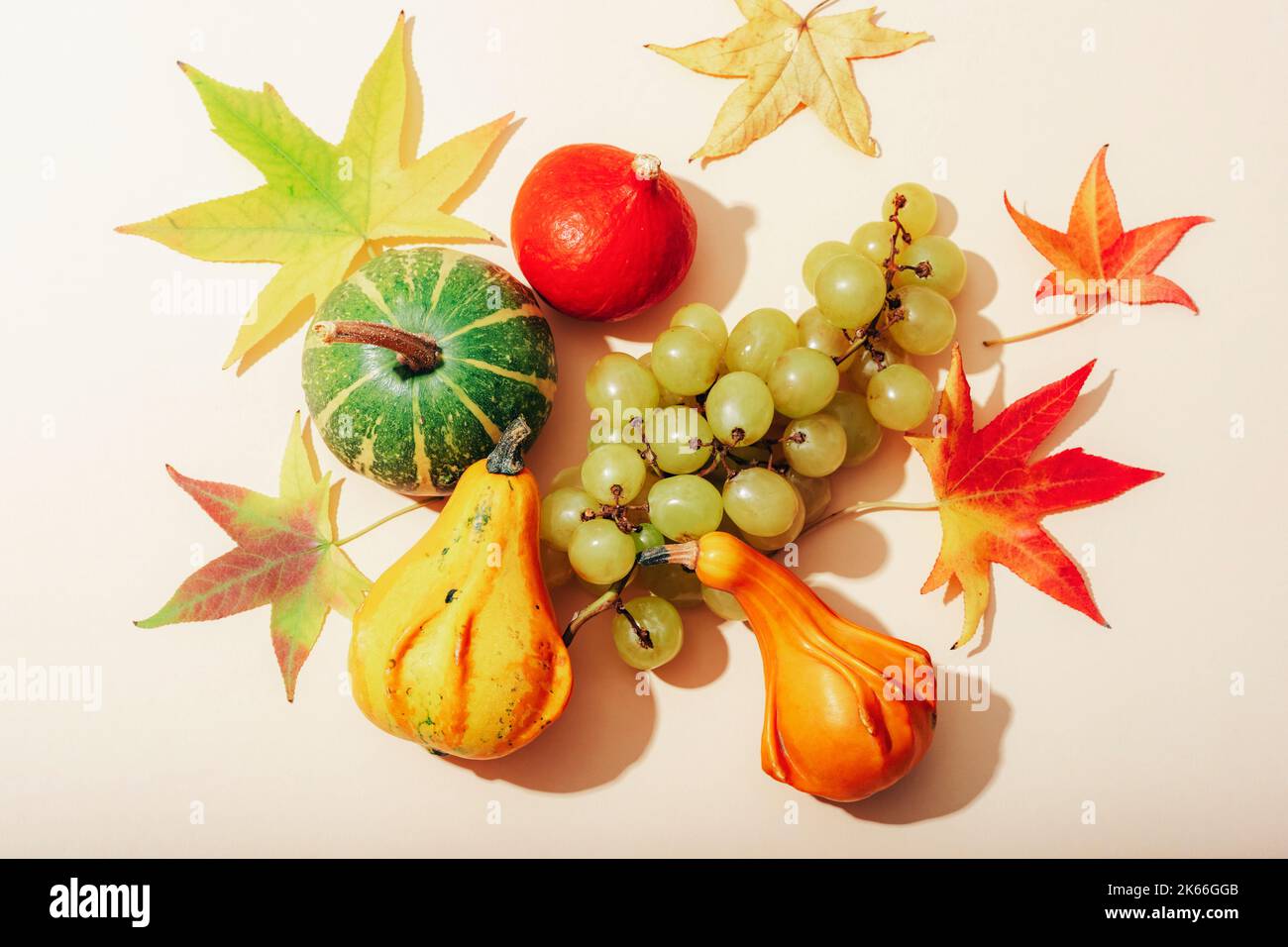 Small pumpkins, grapes and autumn leaves in sunlight on beige ...