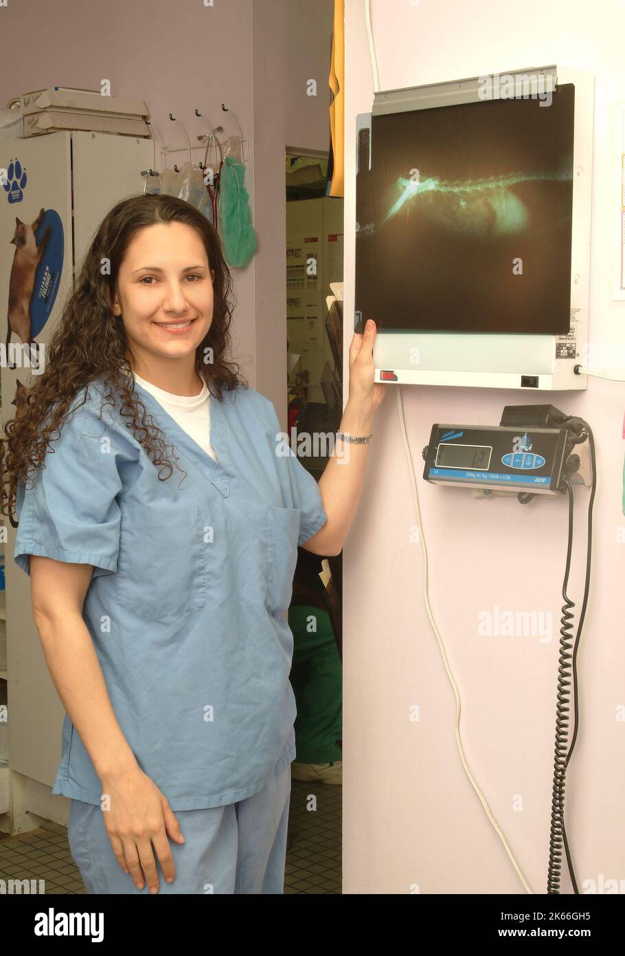 Veterinary surgery services hi-res stock photography and images - Alamy