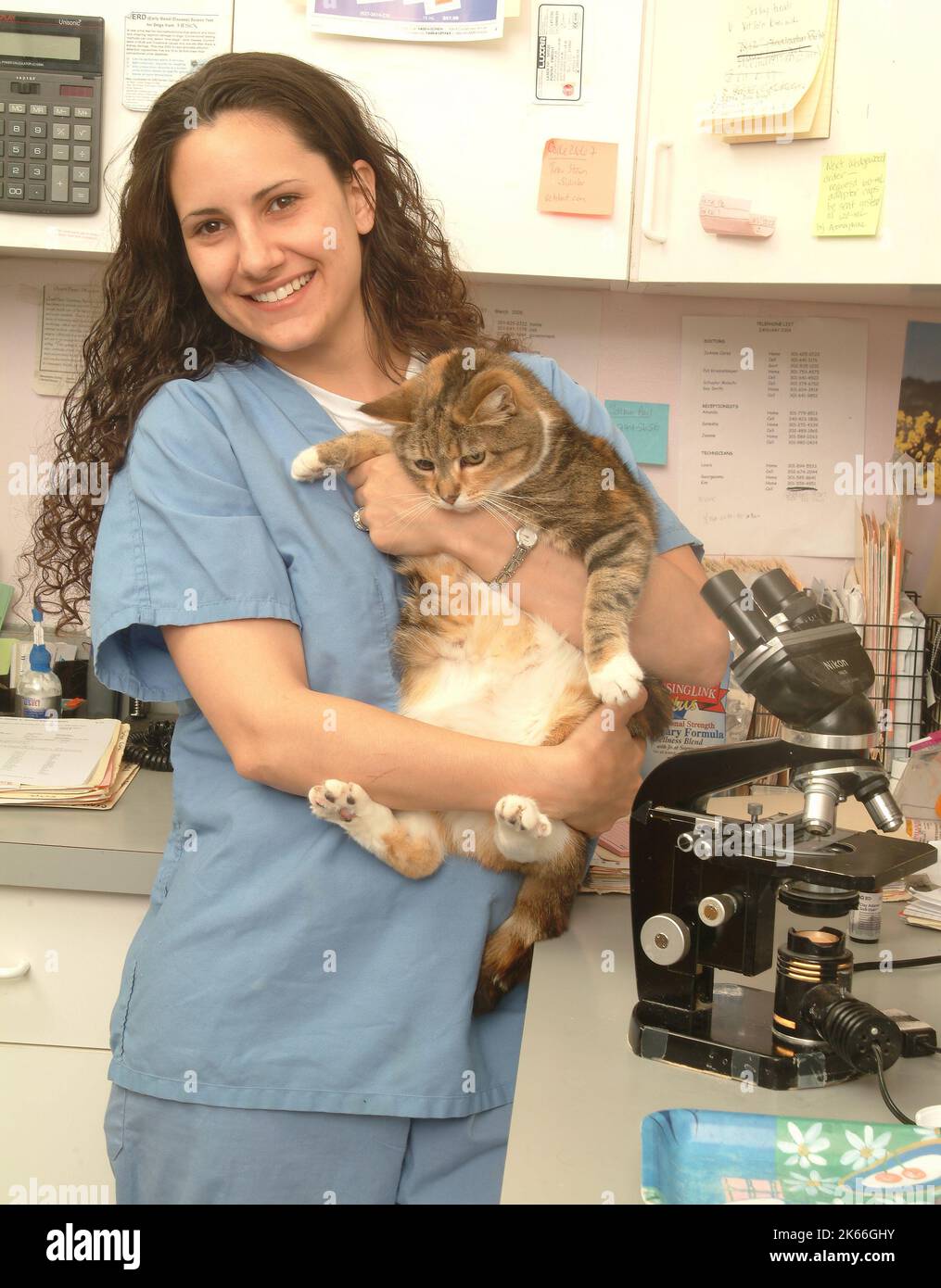 Veterinary surgery services hi-res stock photography and images - Alamy