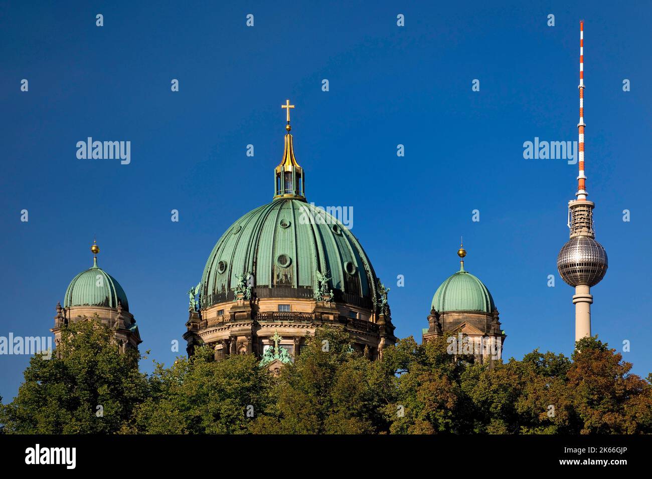 Berlin Kathedral and Television Tower in Berlin-Mitte, Germany, Berlin ...