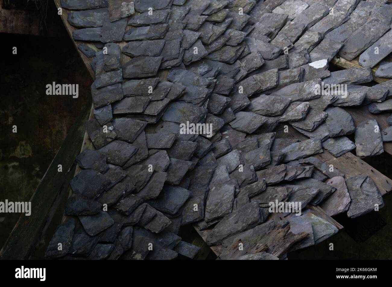Detail of the tiles of a section of collapsed roof in a ruined building ...