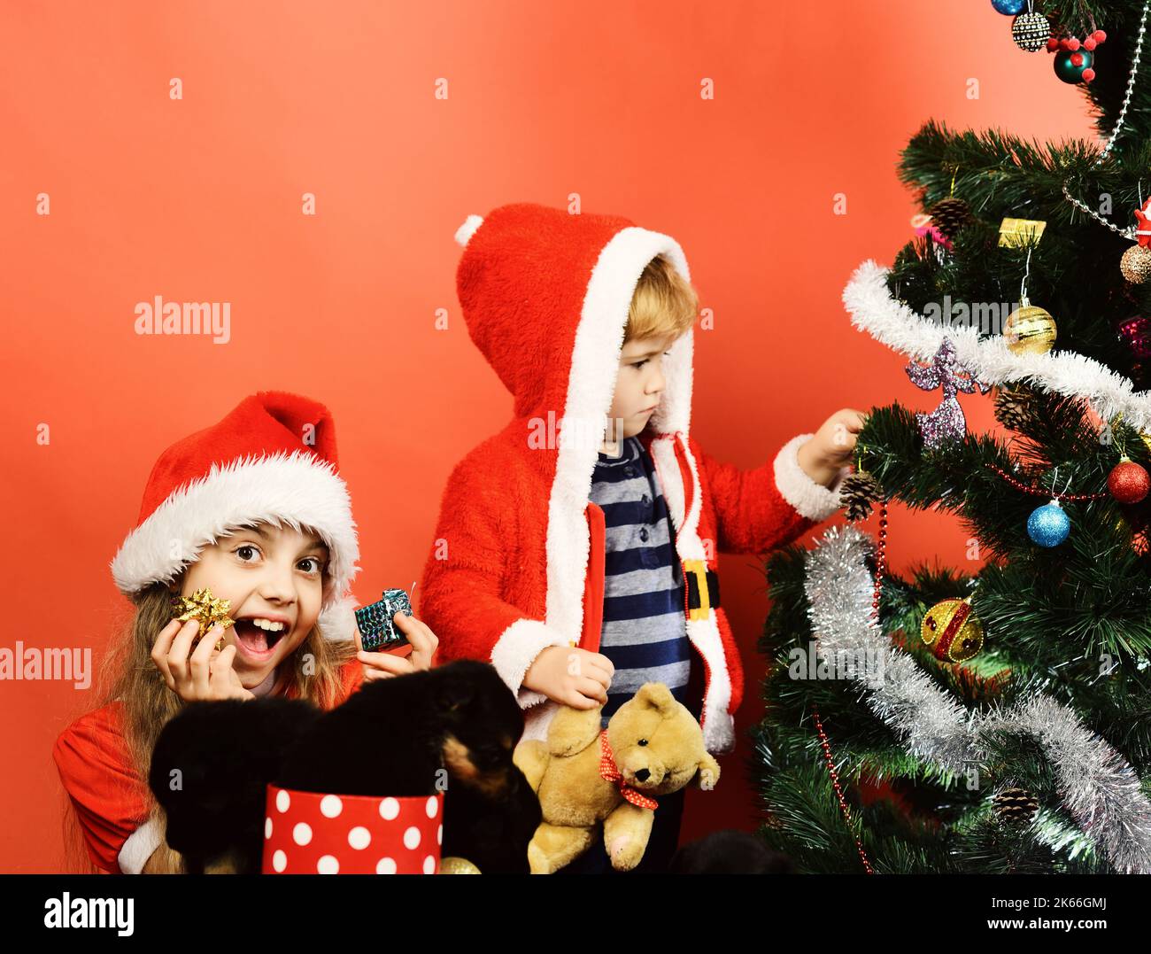 Sister and brother siblings decorate Christmas tree Stock Photo - Alamy