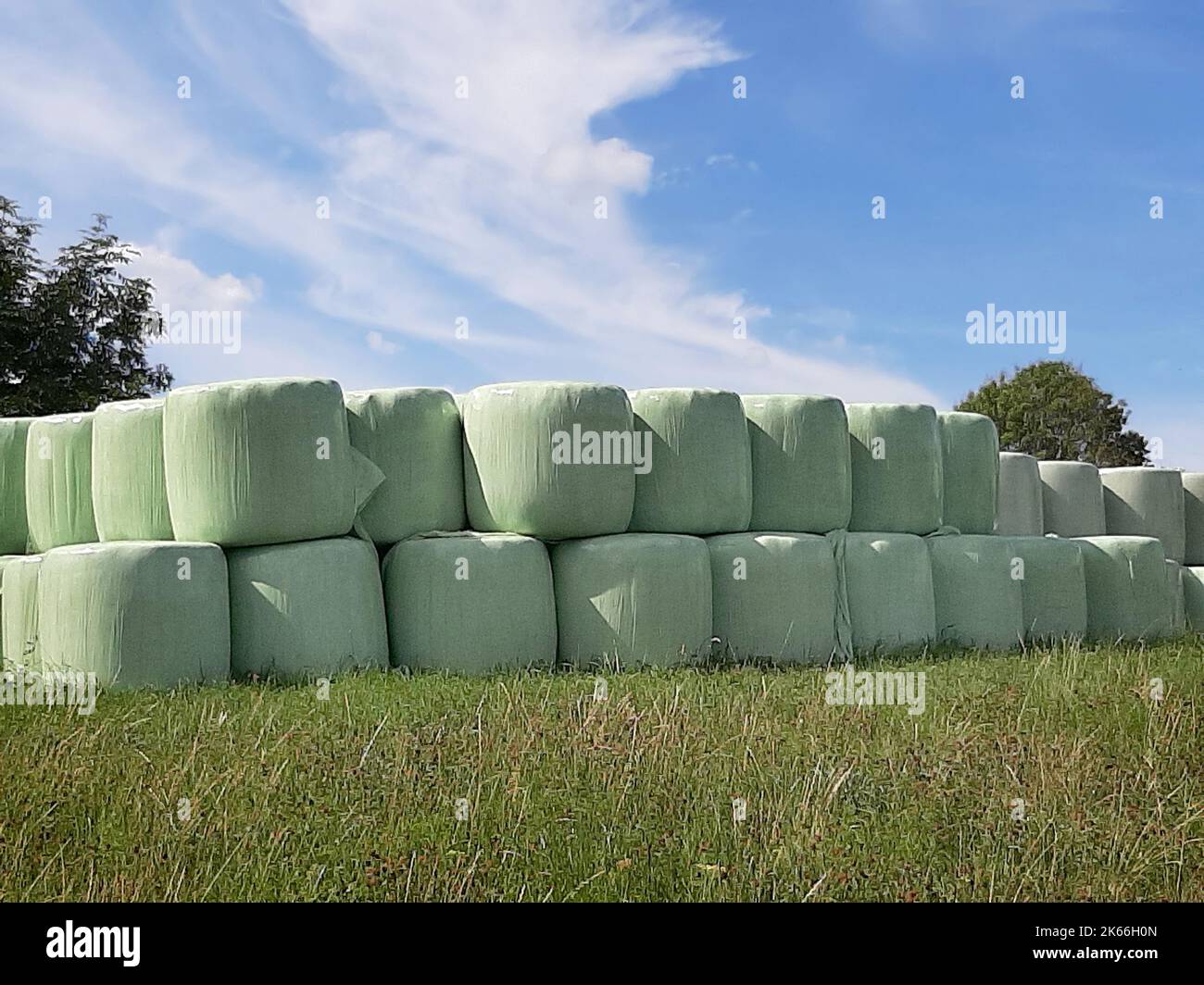 Stacked silage hay bales hi-res stock photography and images - Alamy