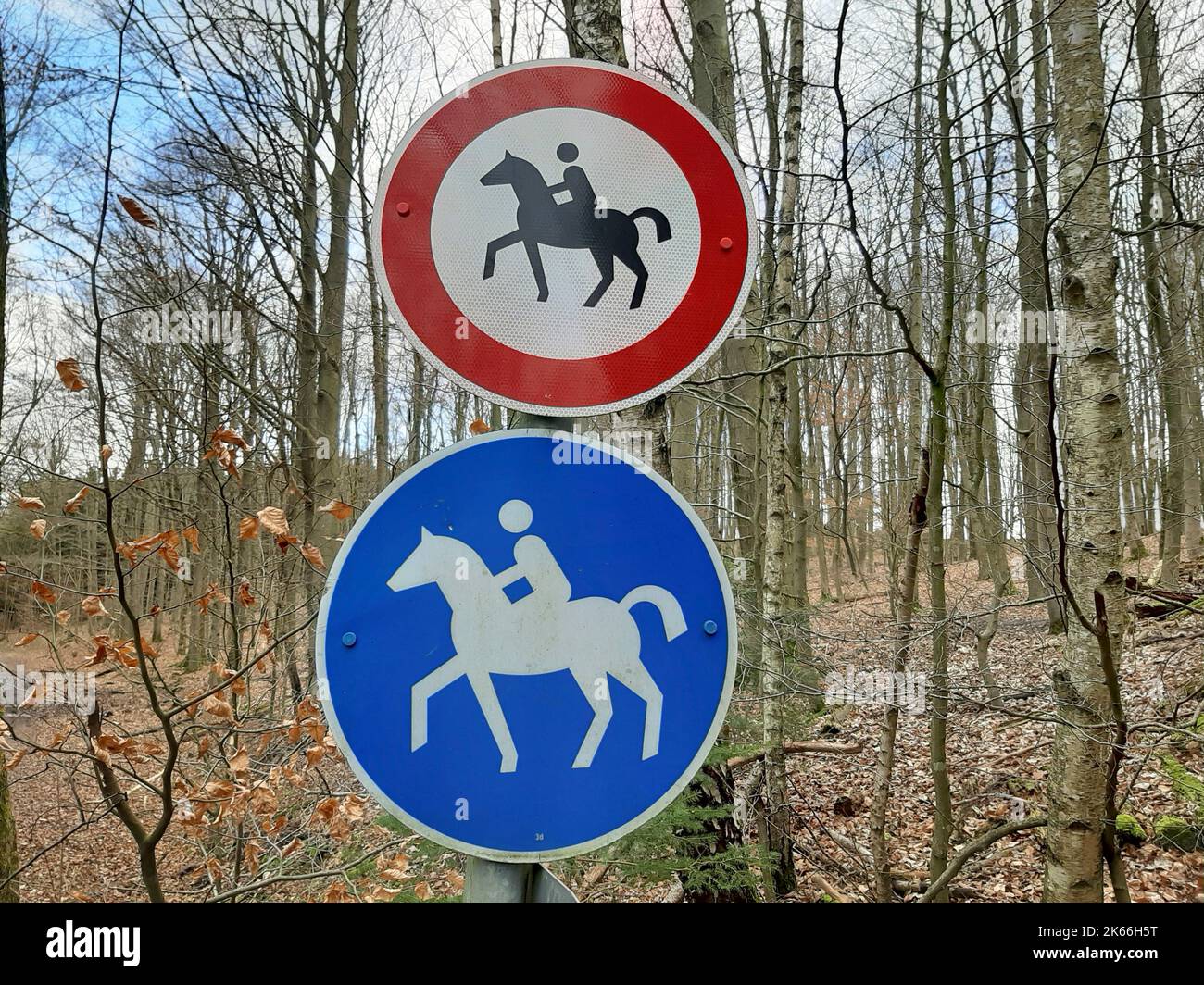 no riding and riding signs in the forest, Germany Stock Photo - Alamy