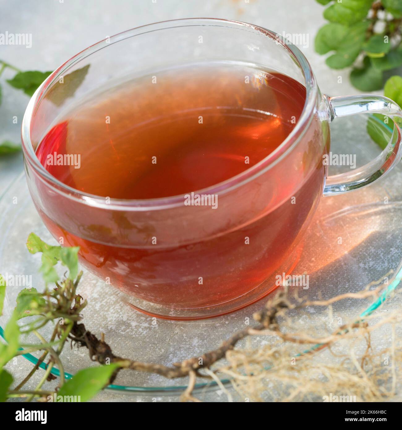 Tea drinks and beverages hi-res stock photography and images - Alamy