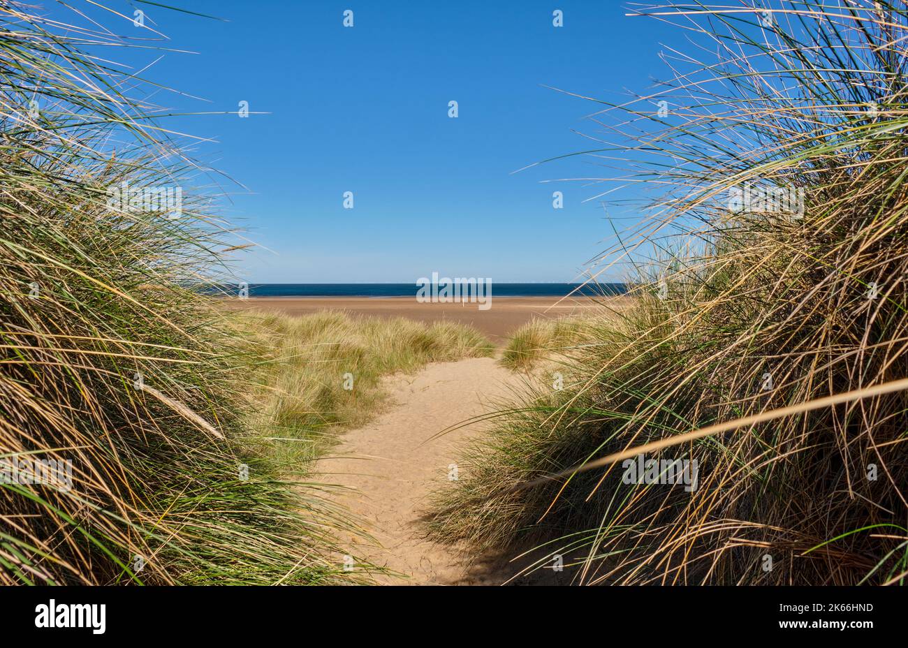Path through the dunes at Holkham Bay, Holkham National Nature Reserve ...