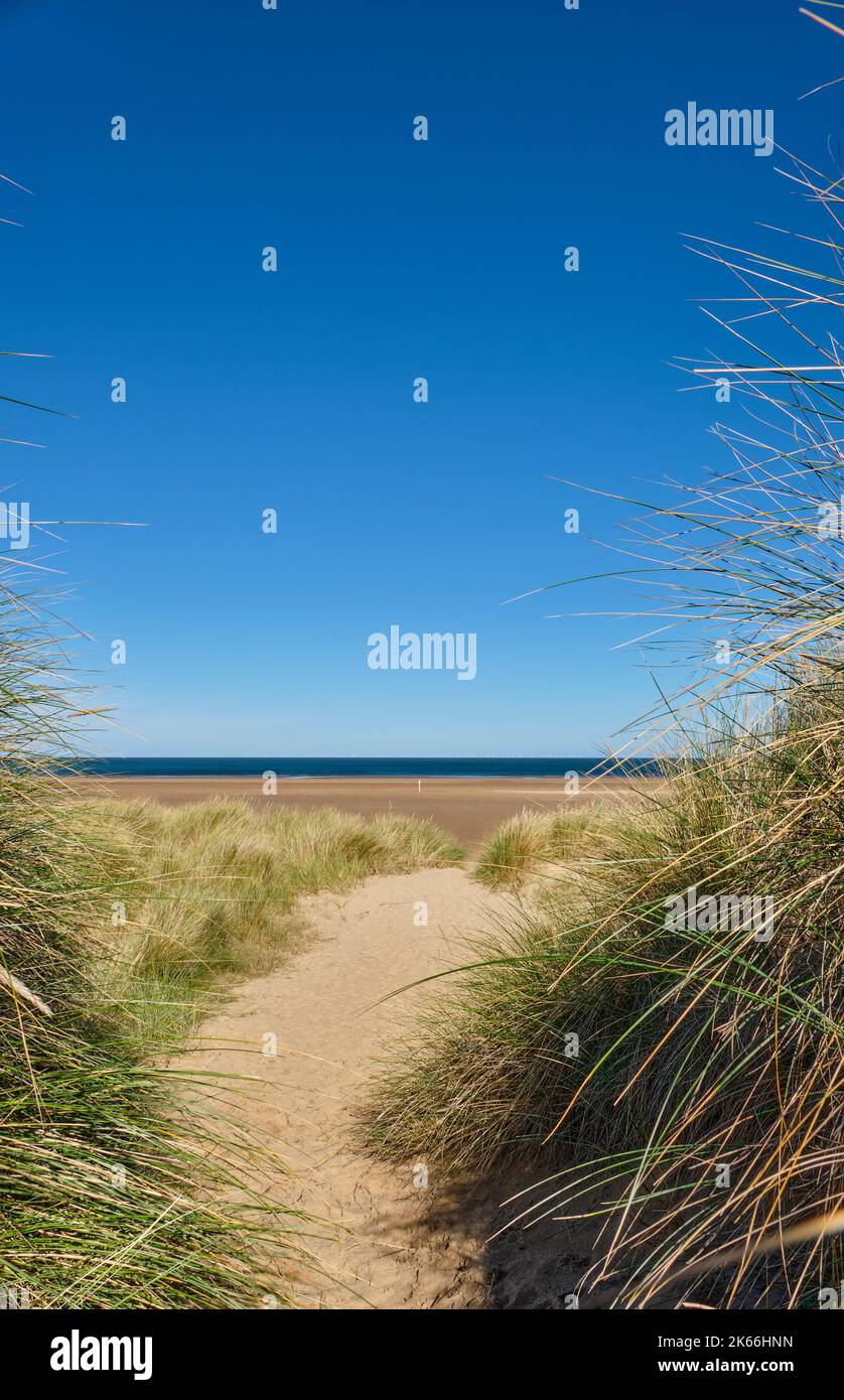 Path through the dunes at Holkham Bay, Holkham National Nature Reserve ...