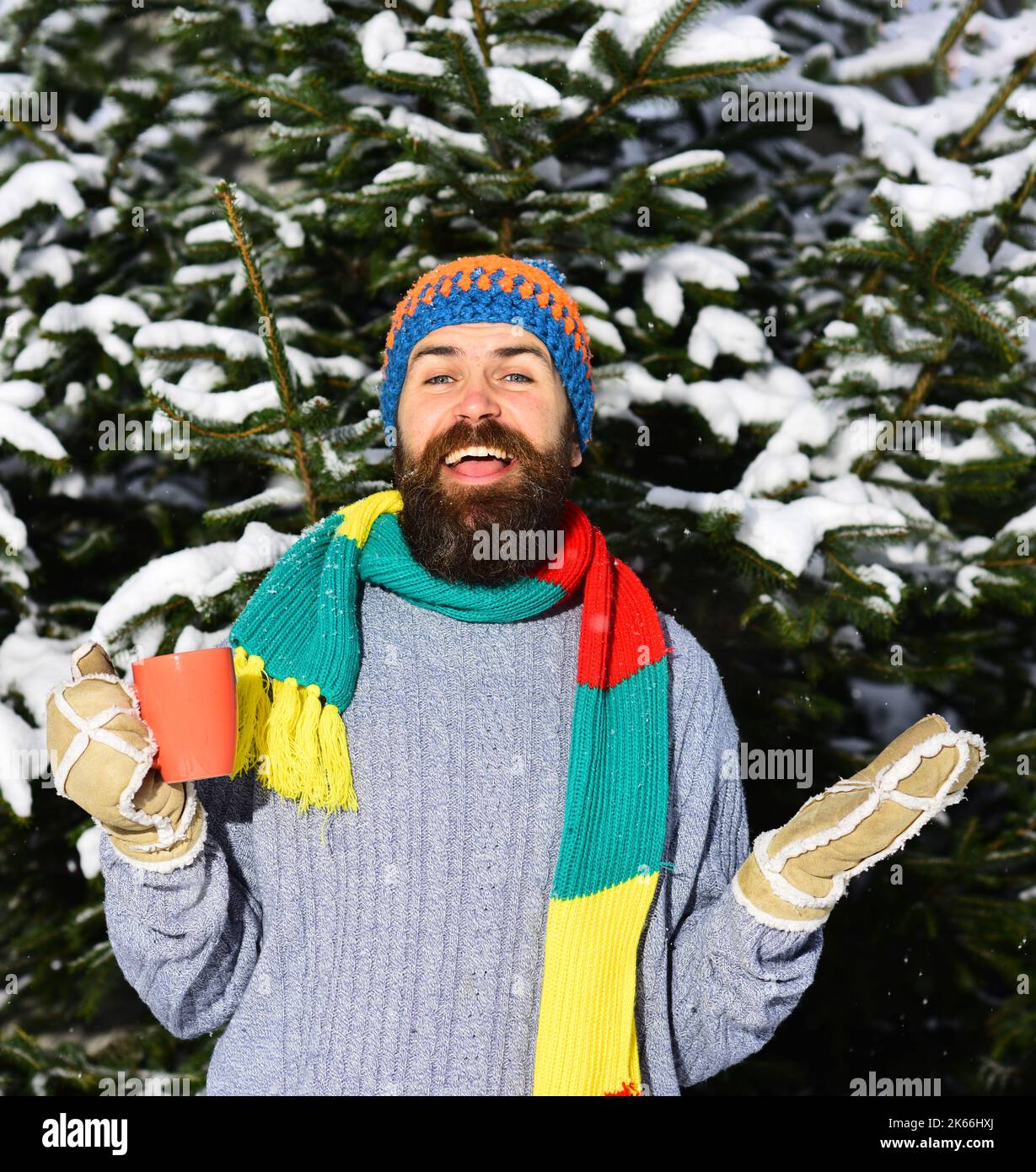 Guy with firtrees covered with snow on background Stock Photo - Alamy