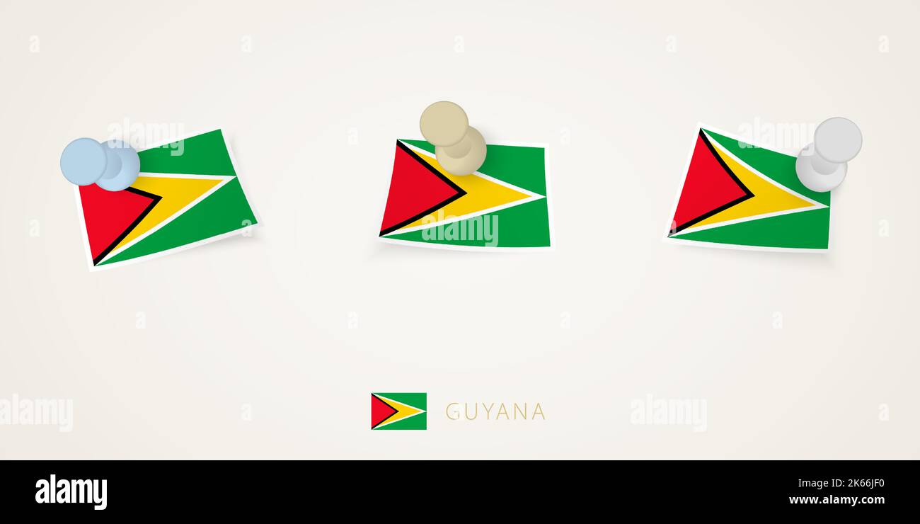 Pinned flag of Guyana in different shapes with twisted corners. Vector pushpins top view. Flag ...