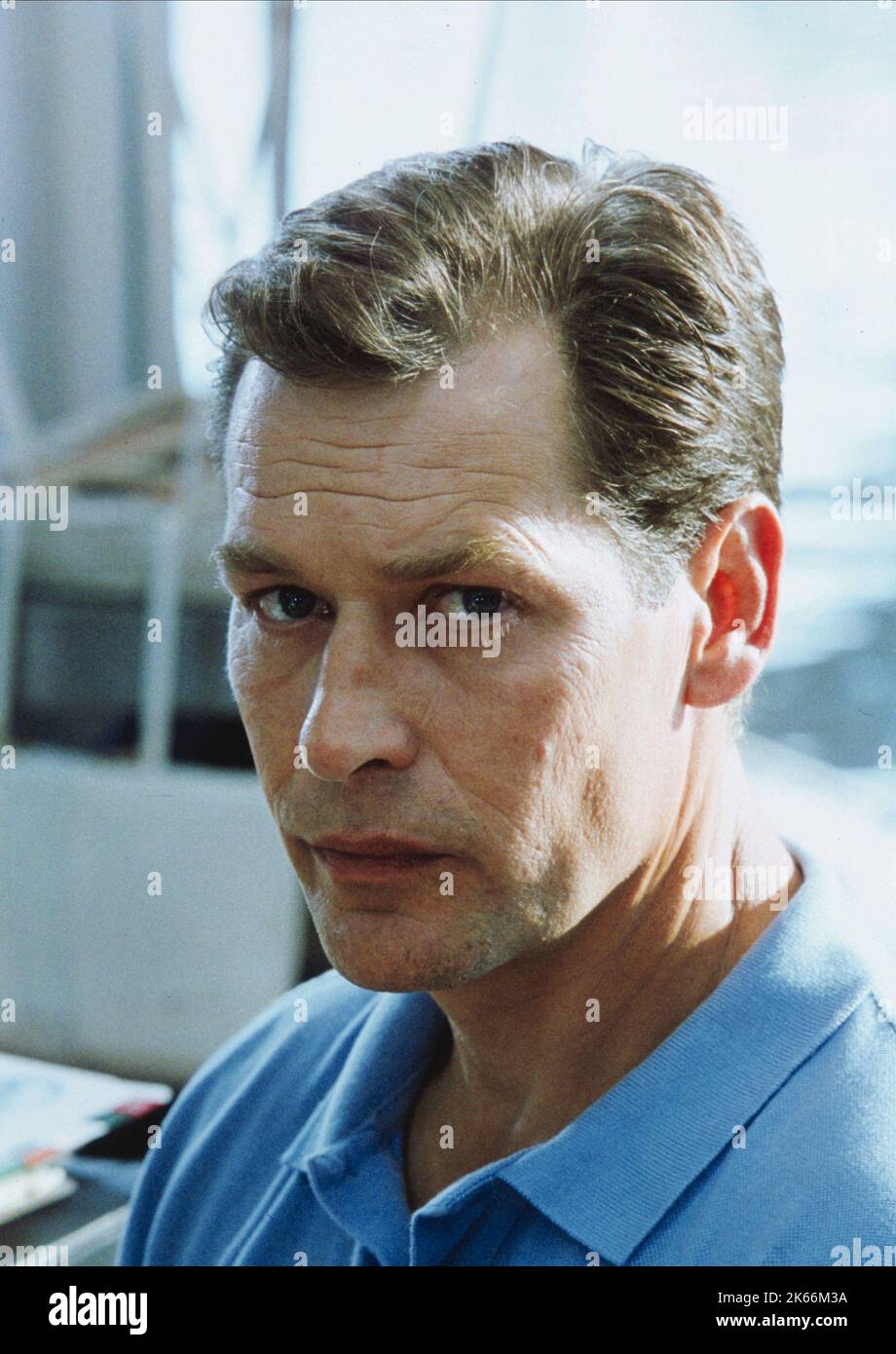 JAMES REMAR, 2 FAST 2 FURIOUS, 2003 Stock Photo - Alamy
