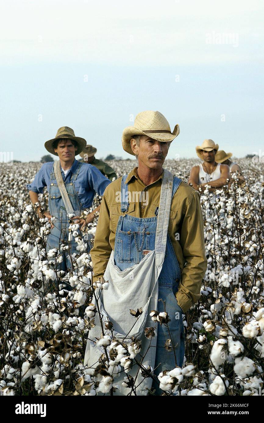 ROBERT SEAN LEONARD, SCOTT GLENN, A PAINTED HOUSE, 2003 Stock Photo - Alamy