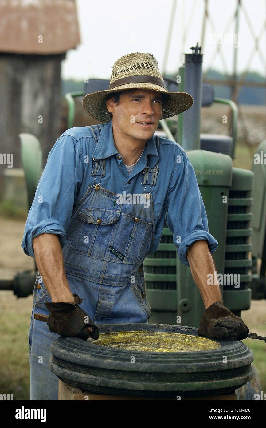 ROBERT SEAN LEONARD, A PAINTED HOUSE, 2003 Stock Photo - Alamy