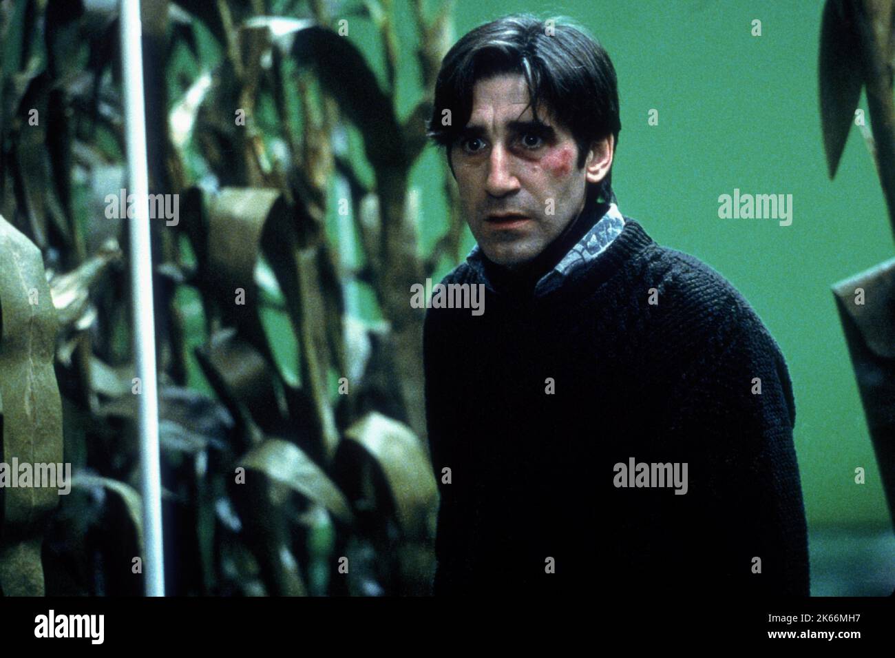 JOHN LYNCH, ALIEN HUNTER, 2003 Stock Photo - Alamy