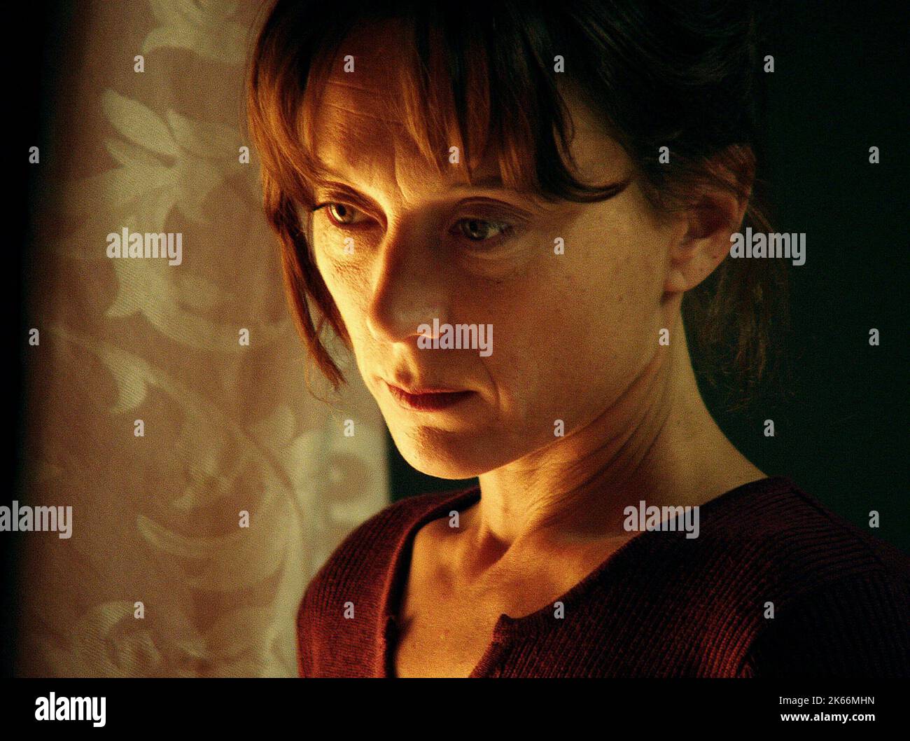 HELEN BUDAY, ALEXANDRA'S PROJECT, 2003 Stock Photo - Alamy