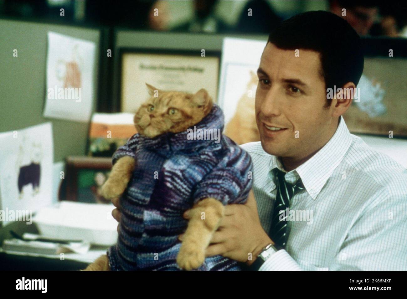 ADAM SANDLER, CAT, ANGER MANAGEMENT, 2003 Stock Photo - Alamy