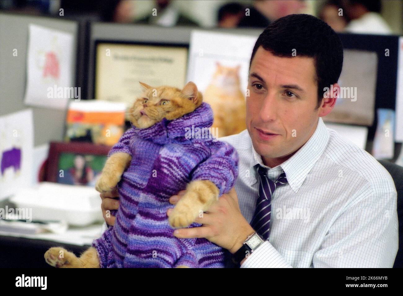 ADAM SANDLER , ANGER MANAGEMENT, 2003 Stock Photo - Alamy