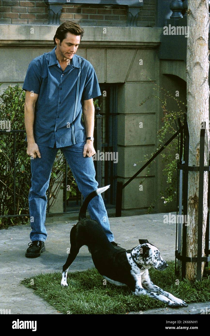 JIM CARREY, DOG, BRUCE ALMIGHTY, 2003 Stock Photo - Alamy