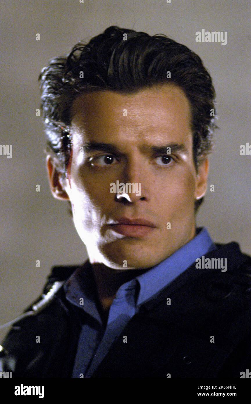 ANTONIO SABATO JR, BUGS, 2003 Stock Photo - Alamy