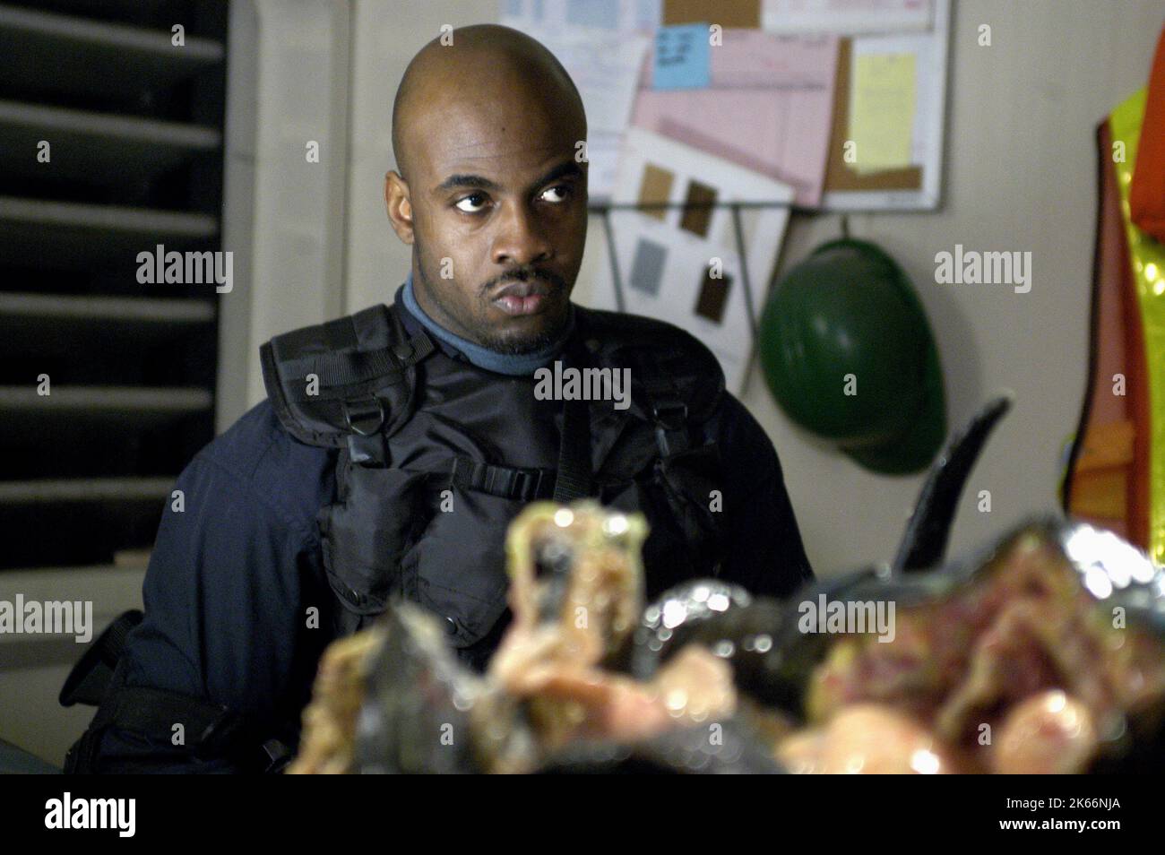 WES WILLIAMS, BUGS, 2003 Stock Photo - Alamy