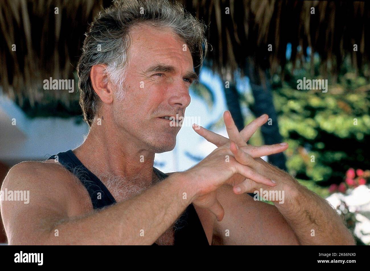 JOHN SAYLES, CASA DE LOS BABYS, 2003 Stock Photo - Alamy JOHN SAYLES, CASA DE LOS BABYS, 2003 Stock Photo - Alamy