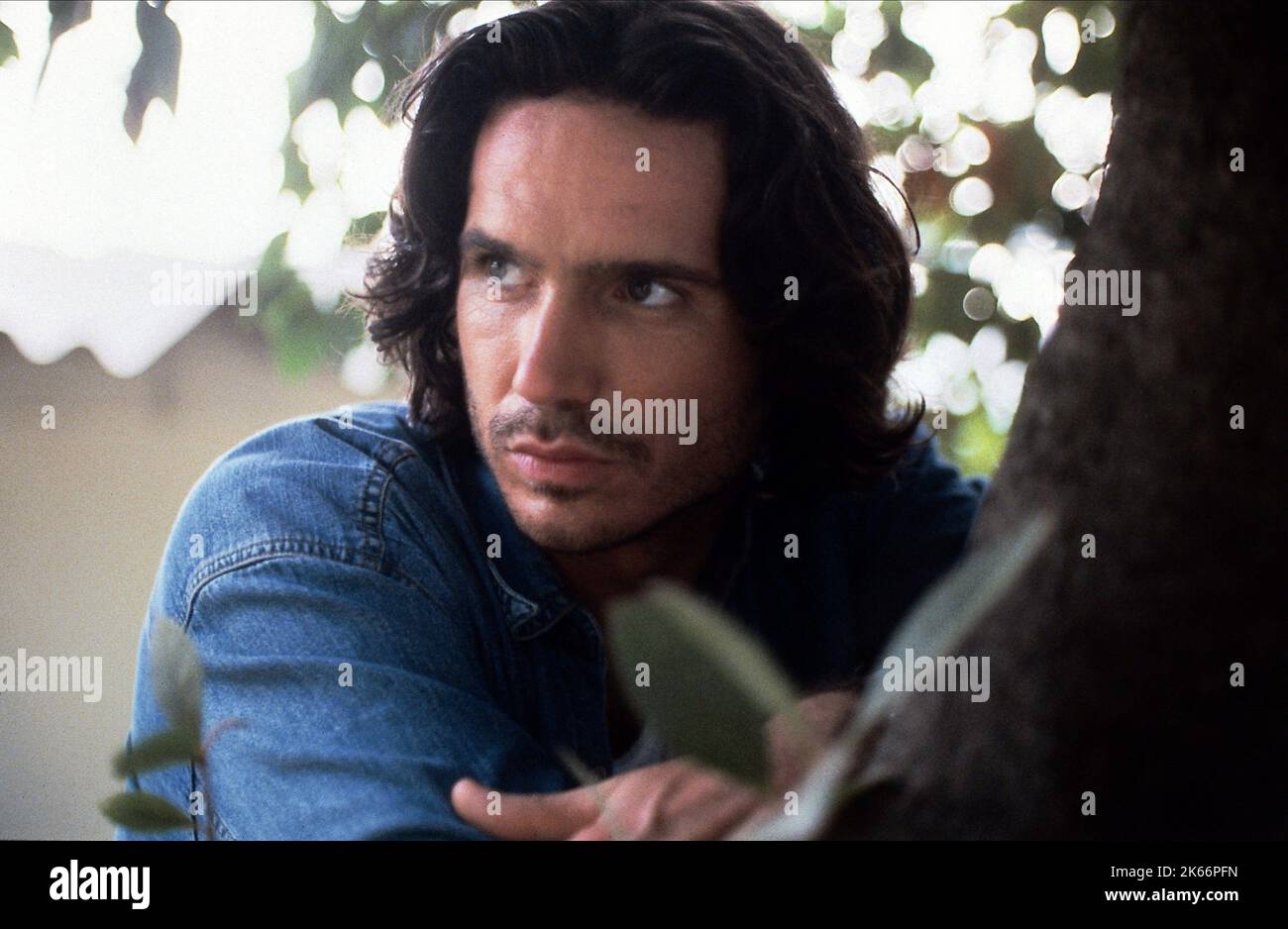 SHANE BROLLY, DEADLY SWARM, 2003 Stock Photo - Alamy