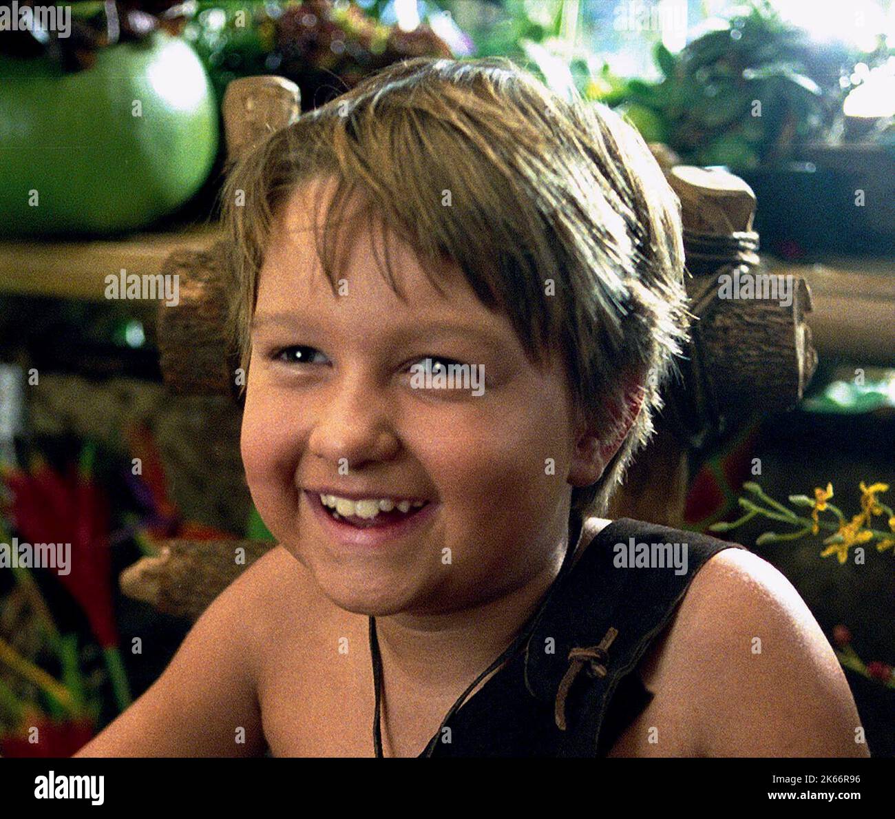 George Of The Jungle 2 Movie