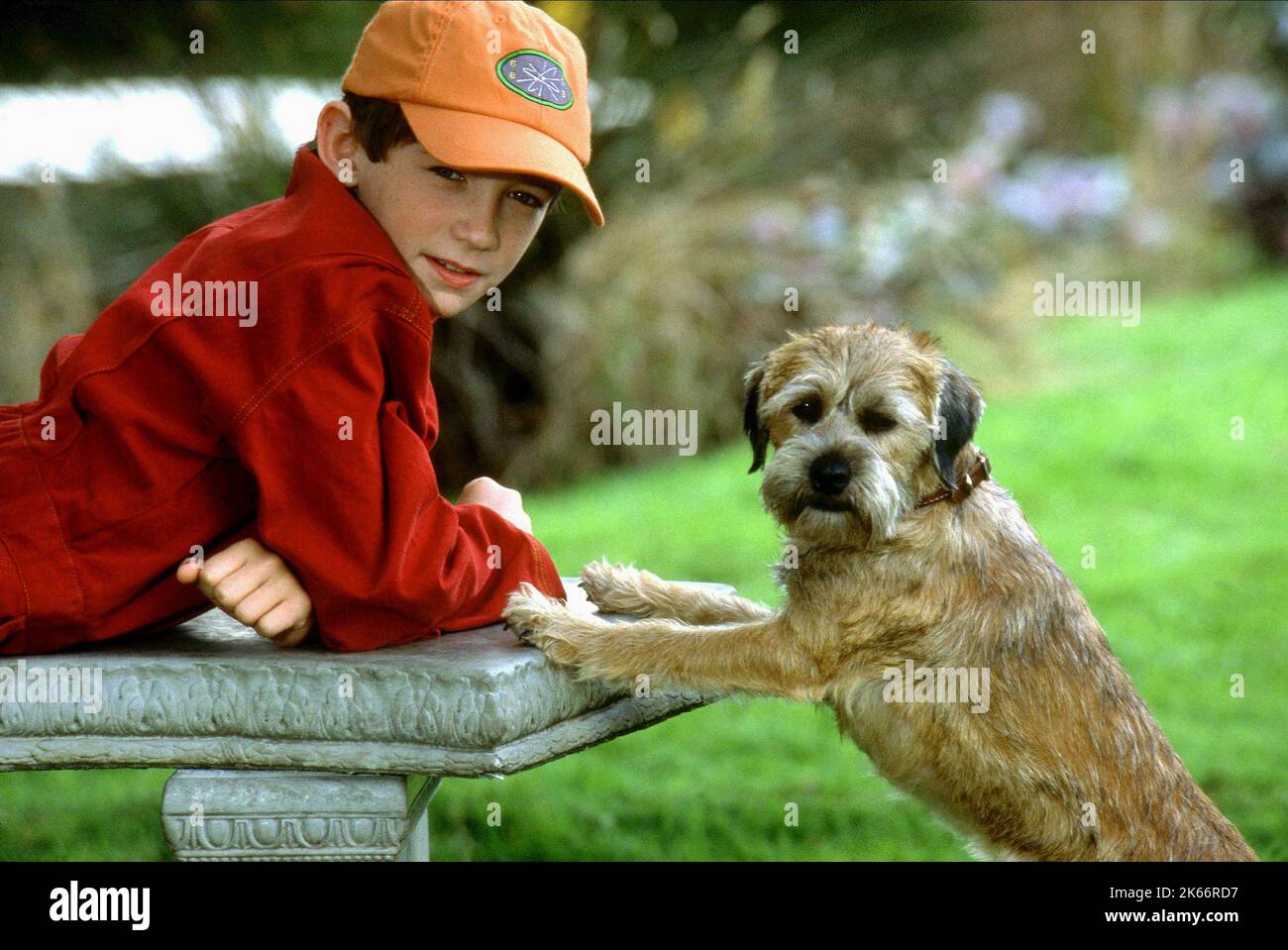 Good boy the movie hi-res stock photography and images - Alamy