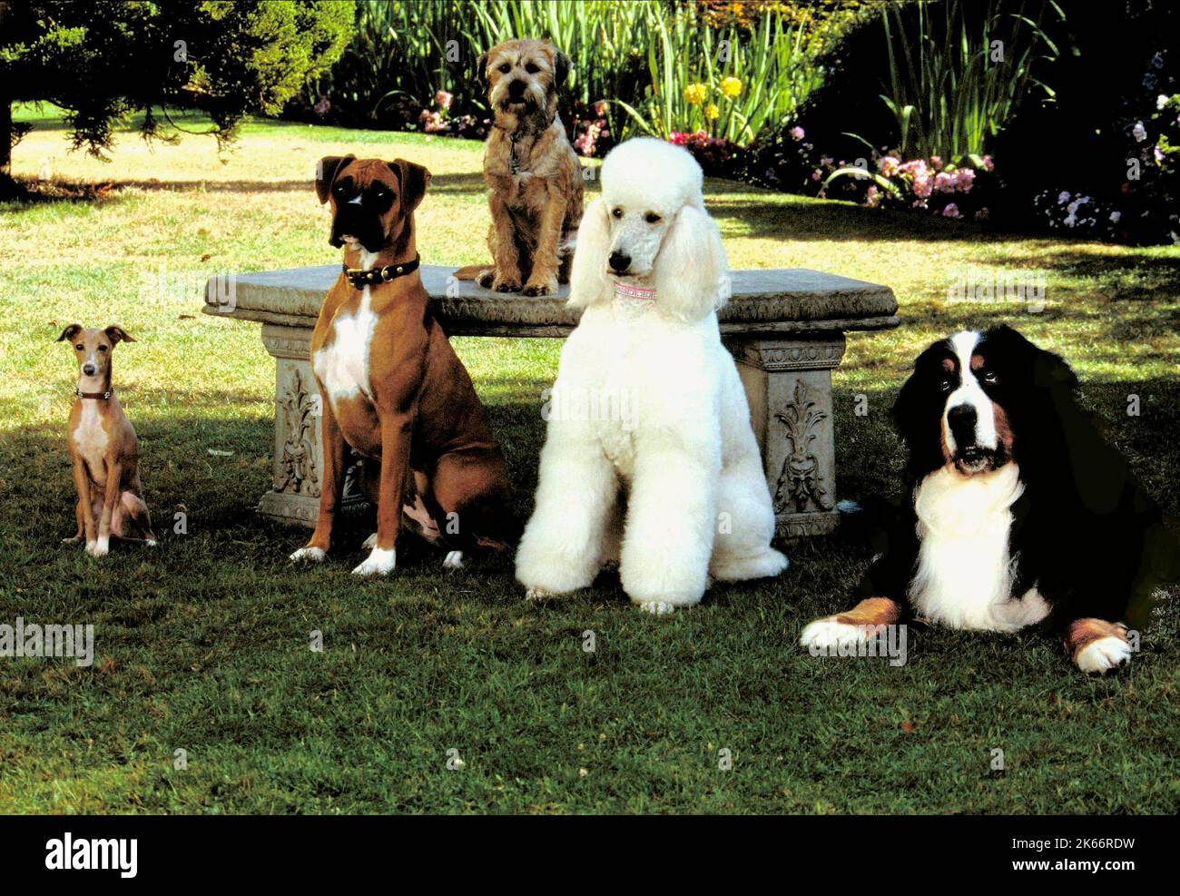 Barbara ann hi-res stock photography and images - Alamy