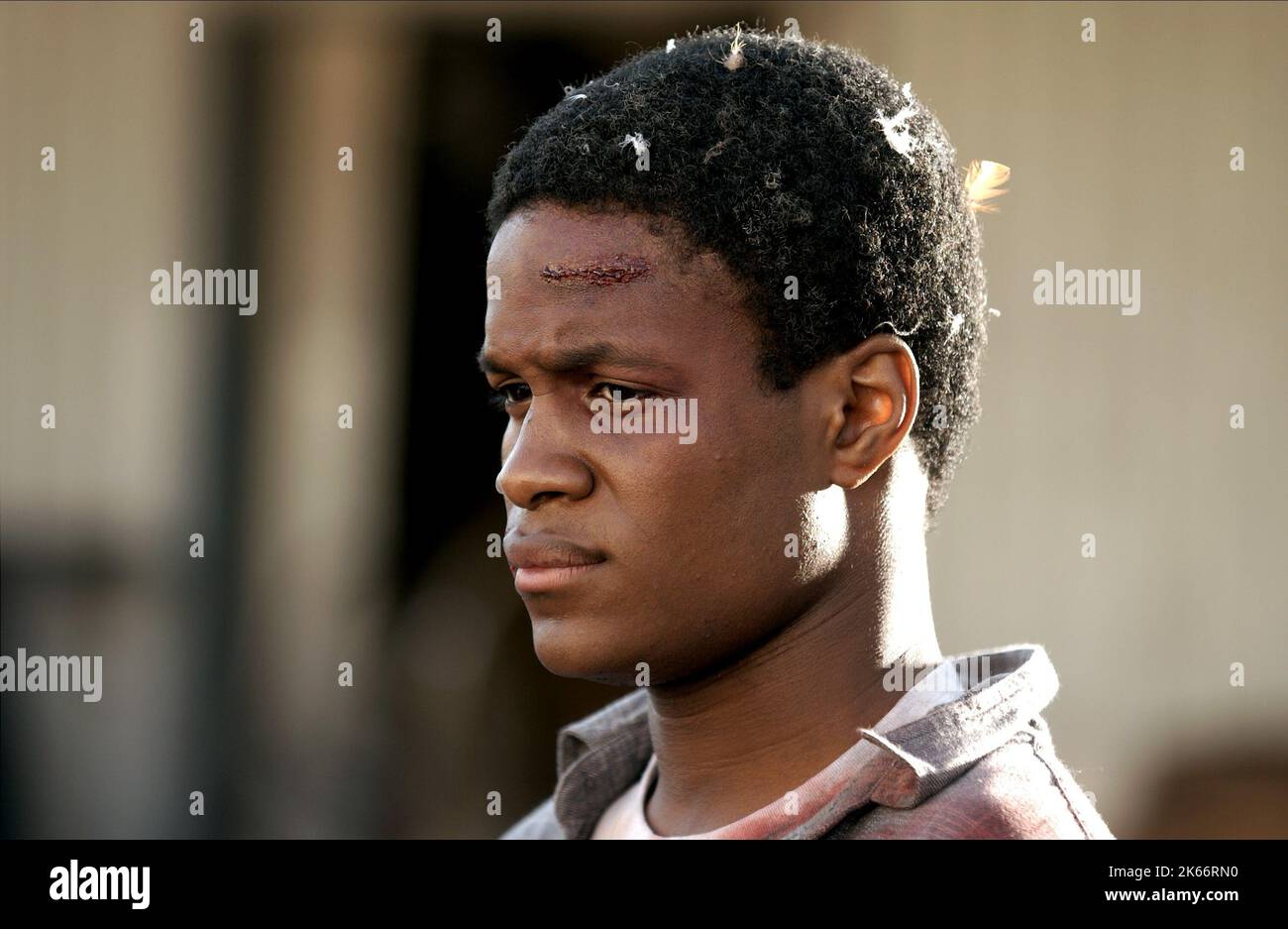 MATTHEW BROWN, GOOD FENCES, 2003 Stock Photo - Alamy