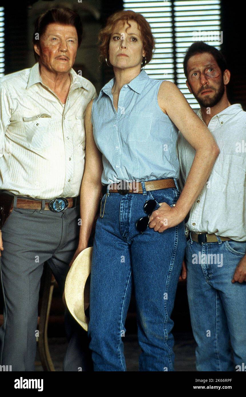 JON VOIGHT, SIGOURNEY WEAVER, TIM BLAKE NELSON, HOLES, 2003 Stock Photo ...