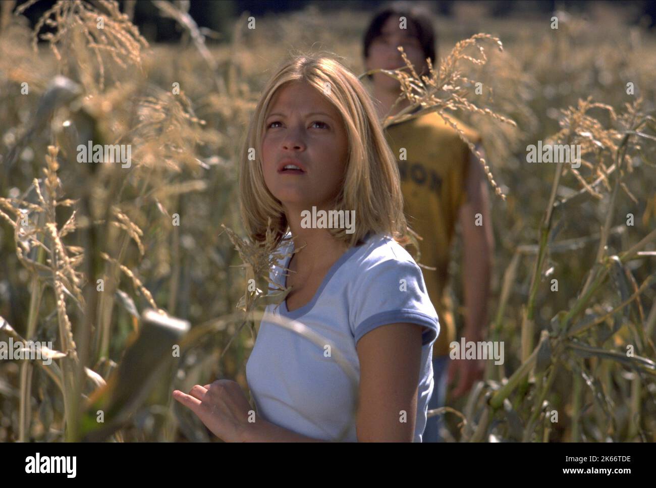 Minxie hi-res stock photography and images - Alamy
