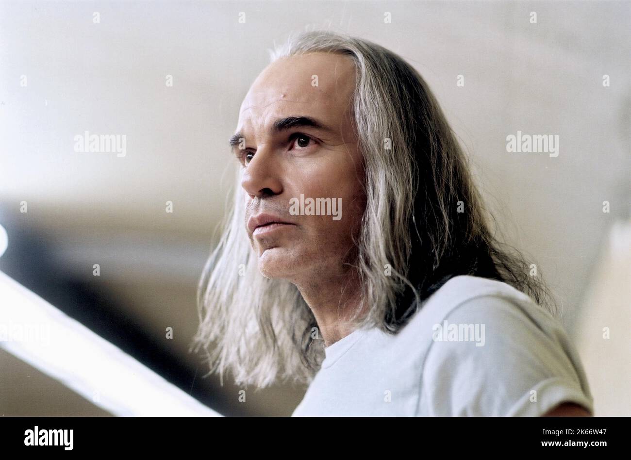 Billy Bob Thornton Hair