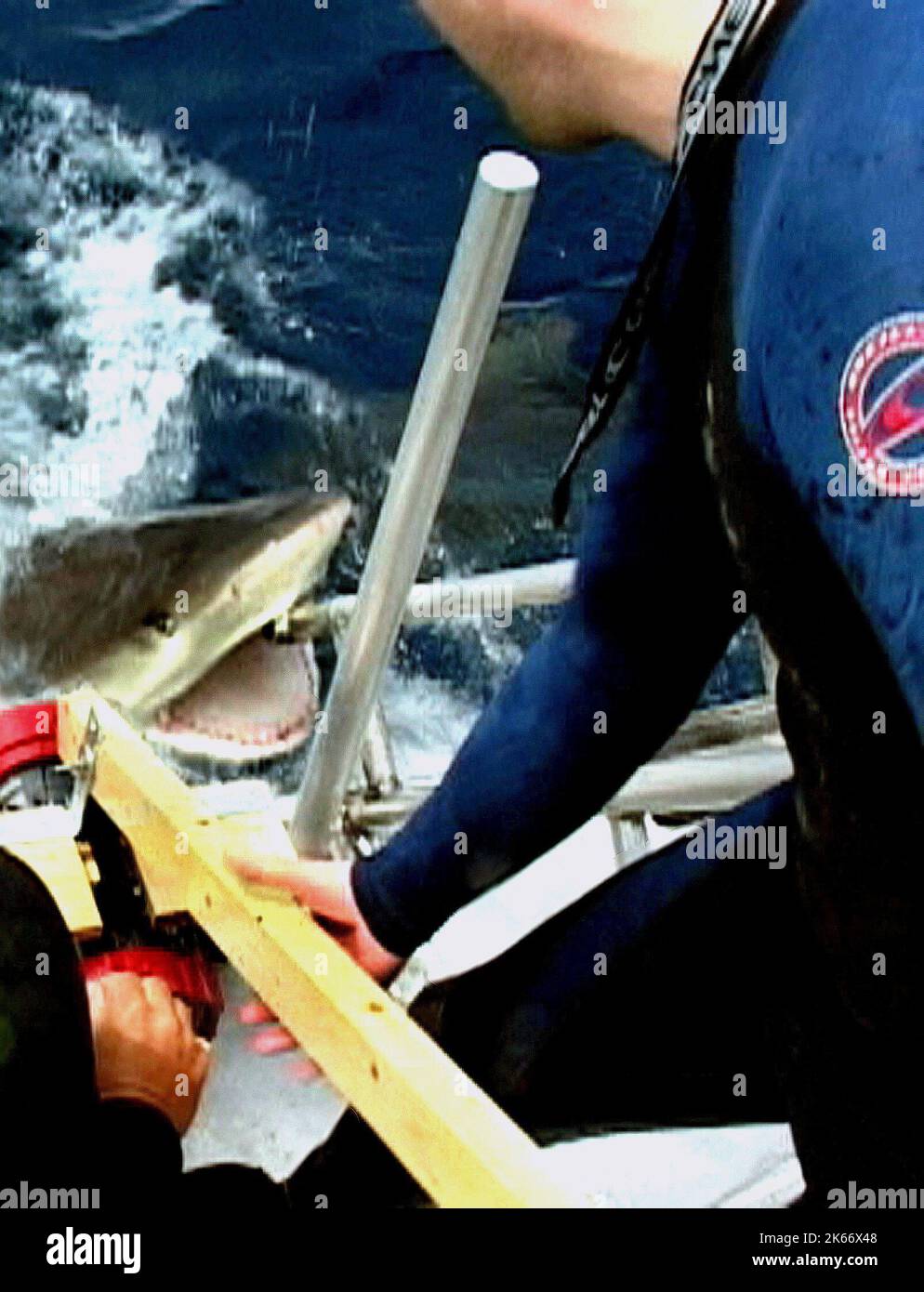 SHARK SCENE, OPEN WATER, 2003 Stock Photo - Alamy