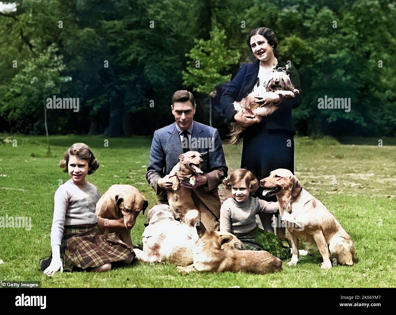 Animales de caza hi-res stock photography and images - Alamy