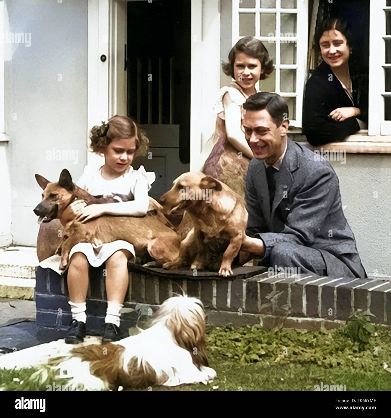 Animales de caza hi-res stock photography and images - Alamy