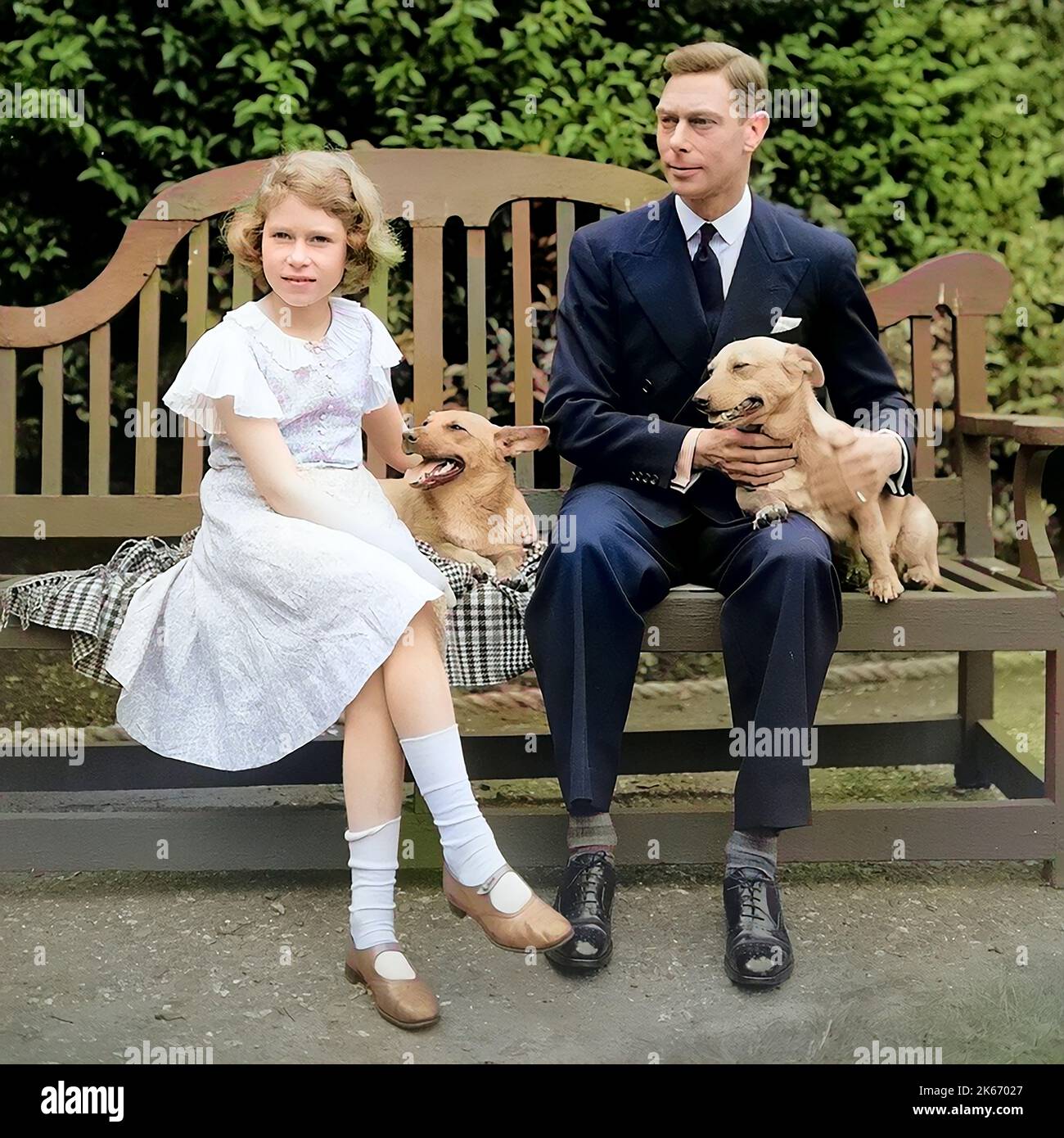 Animales de caza hi-res stock photography and images - Alamy