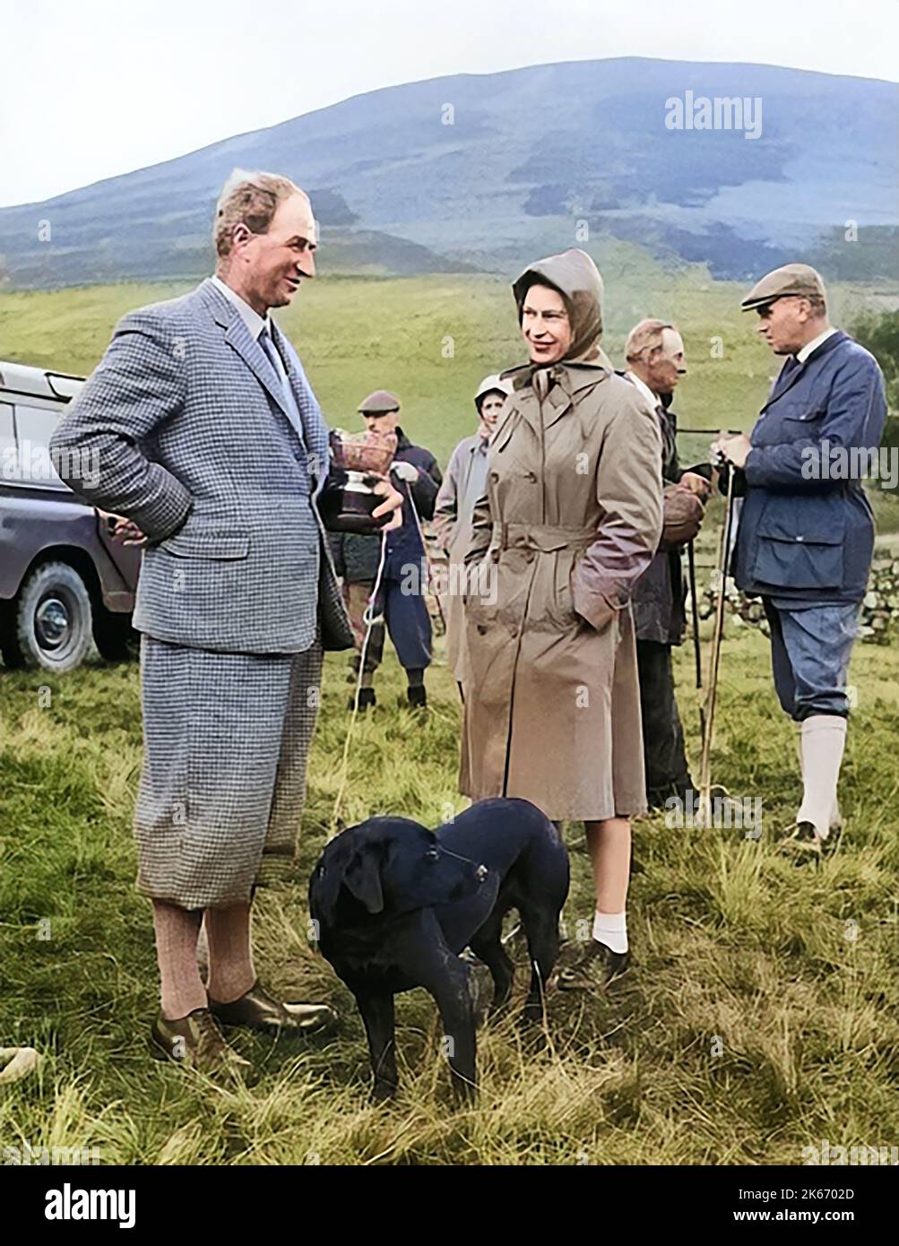 Animales de ganado hi-res stock photography and images - Alamy