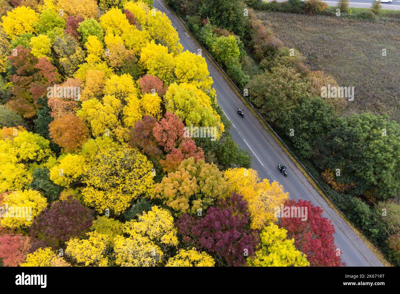 Motorists in Coventry pass trees showing autumnal colour Stock Photo ...
