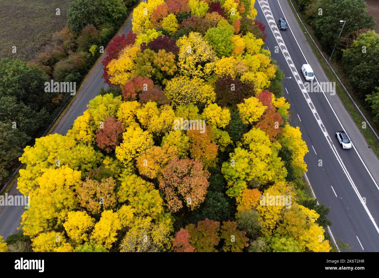 Motorists in Coventry pass trees showing autumnal colour Stock Photo ...
