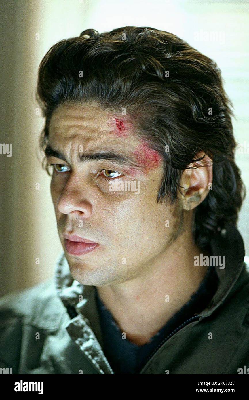 BENICIO DEL TORO, THE HUNTED, 2003 Stock Photo - Alamy