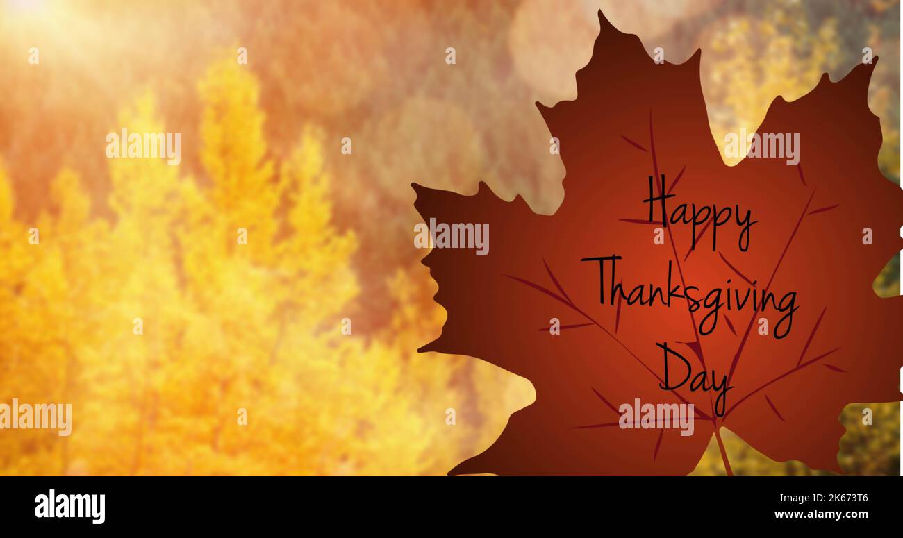 Thanksgiving leaf plant autumn hi-res stock photography and images - Alamy