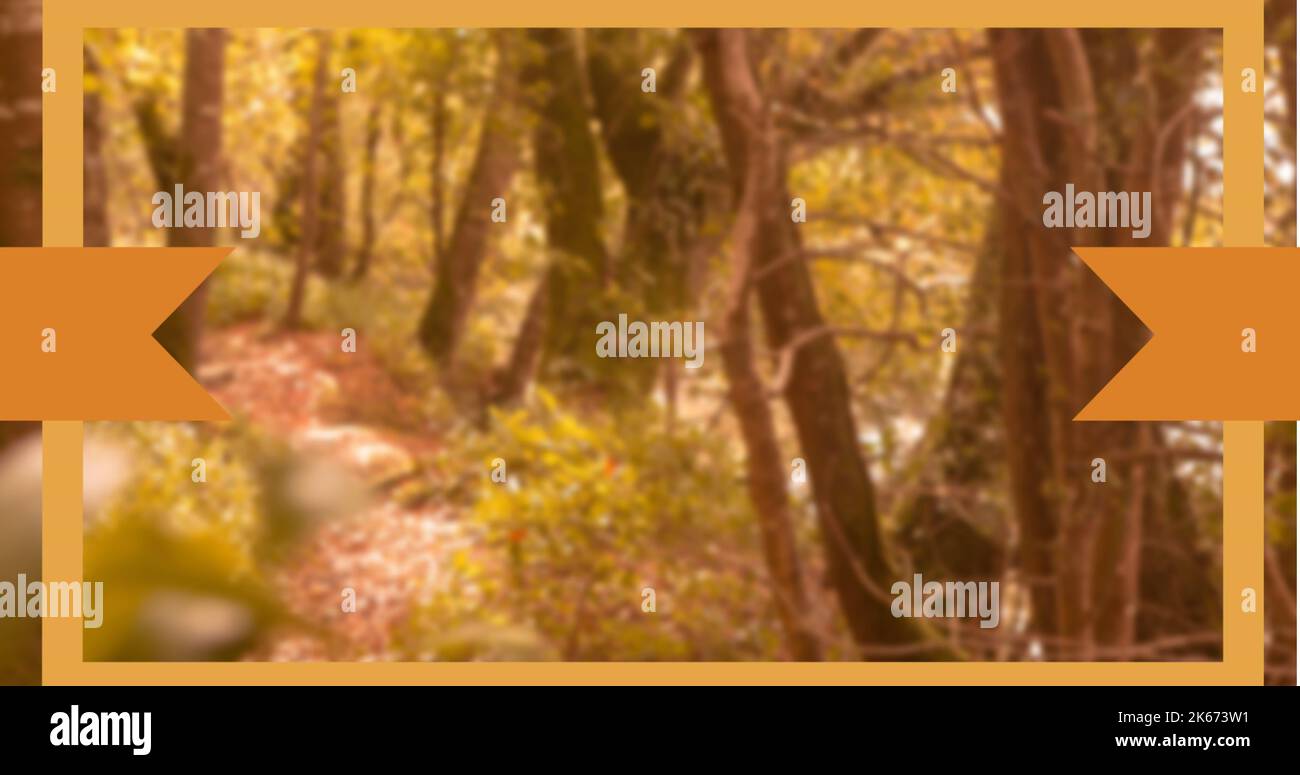 Frame forest hi-res stock photography and images - Alamy