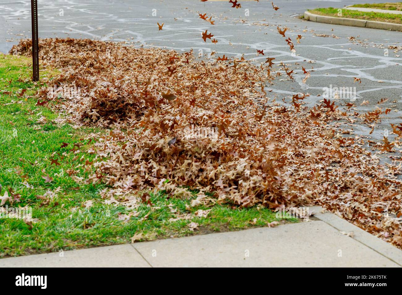 During autumn season, municipal workers cleaning sidewalks by ...