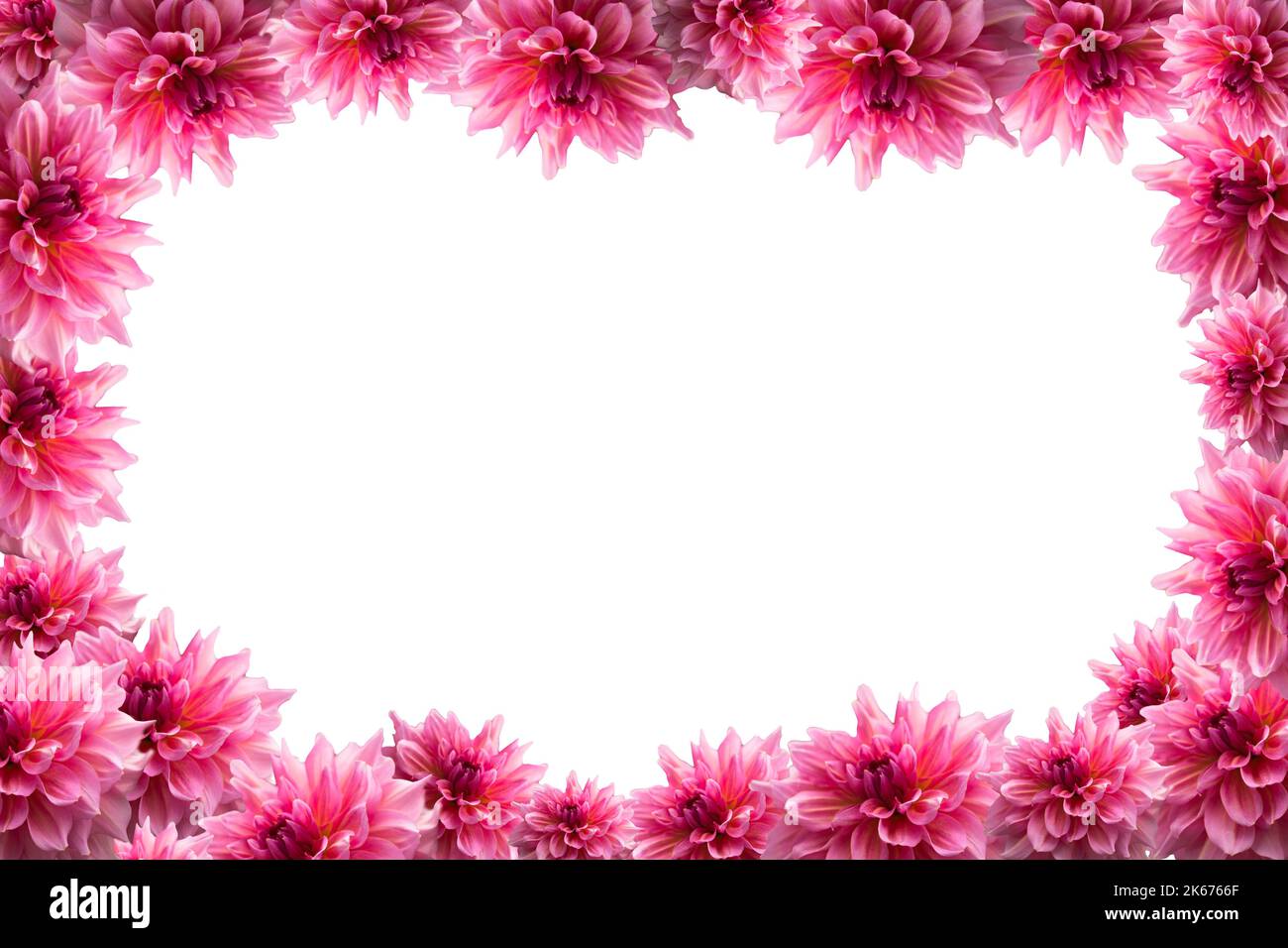 Pink Flower Border Png Flower Border Png Rose Png
